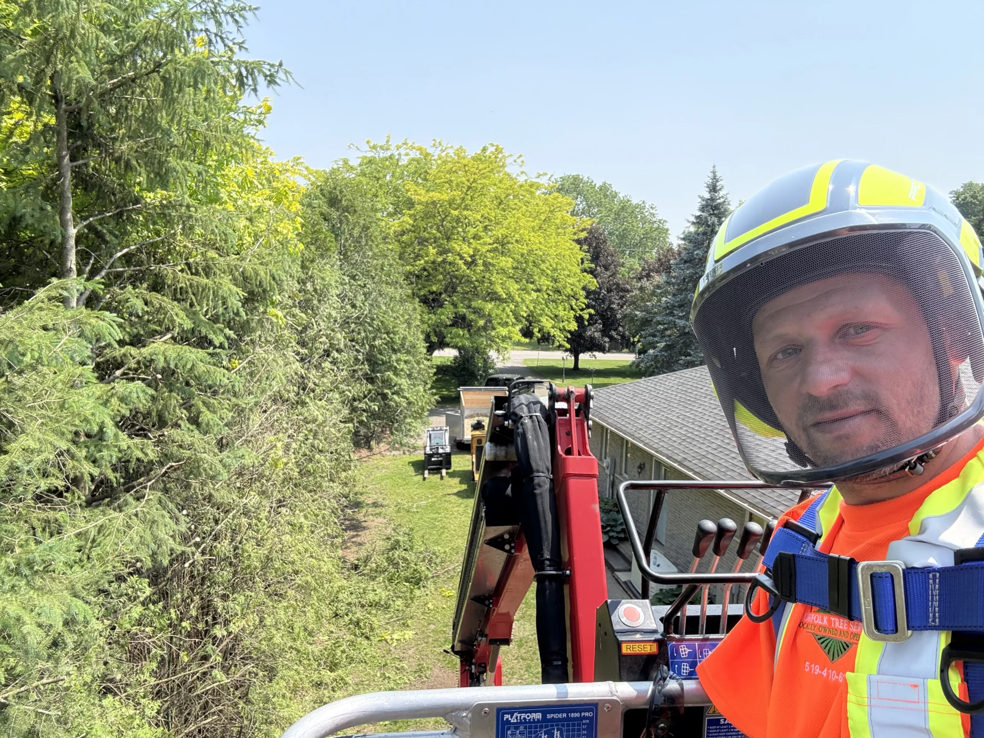 Norfolk Tree Service - Tree Removal & Trimming in Norfolk County, Ontario